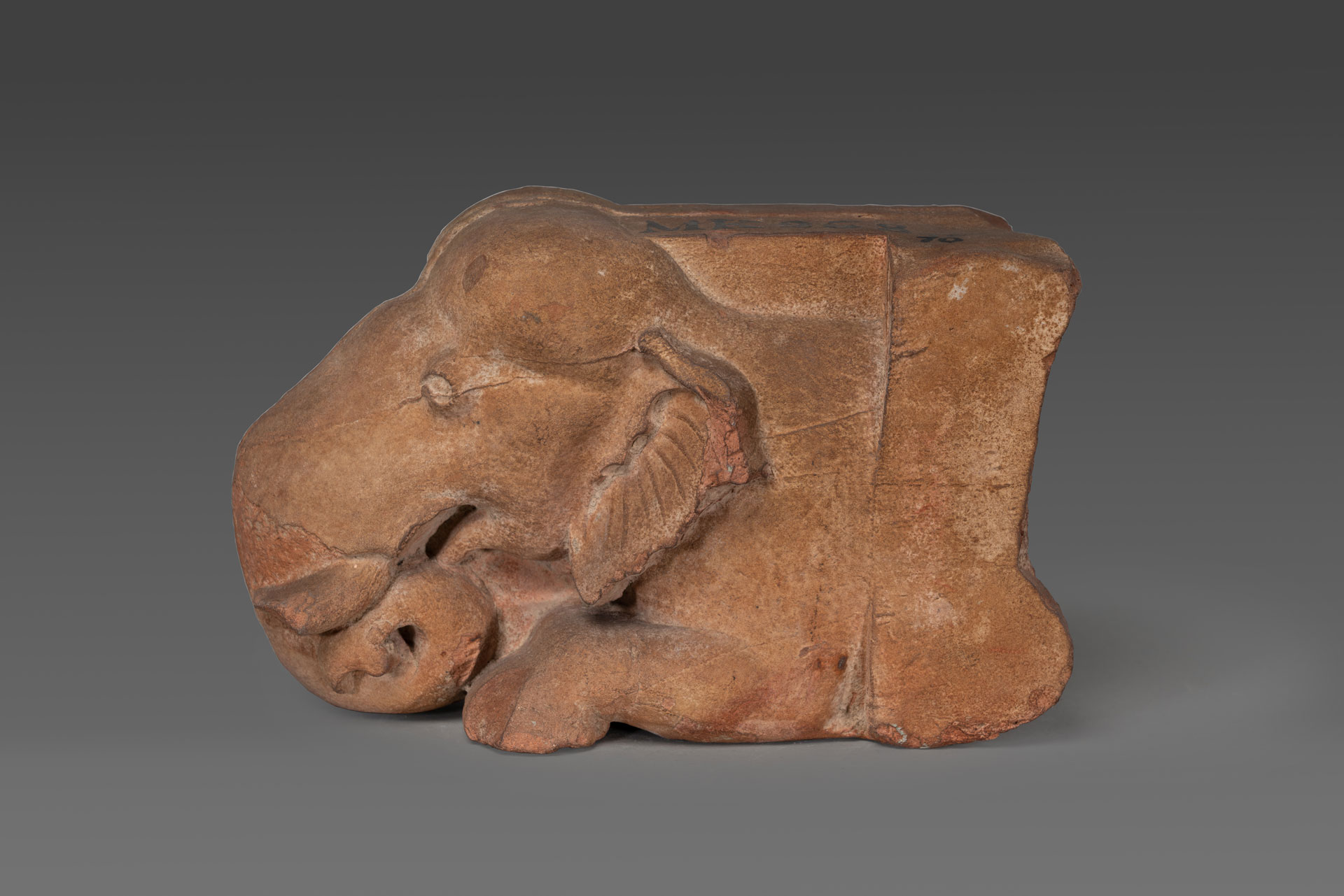 csmvs-test – CHHATRAPATI SHIVAJI MAHARAJ VASTU SANGRAHALAYA